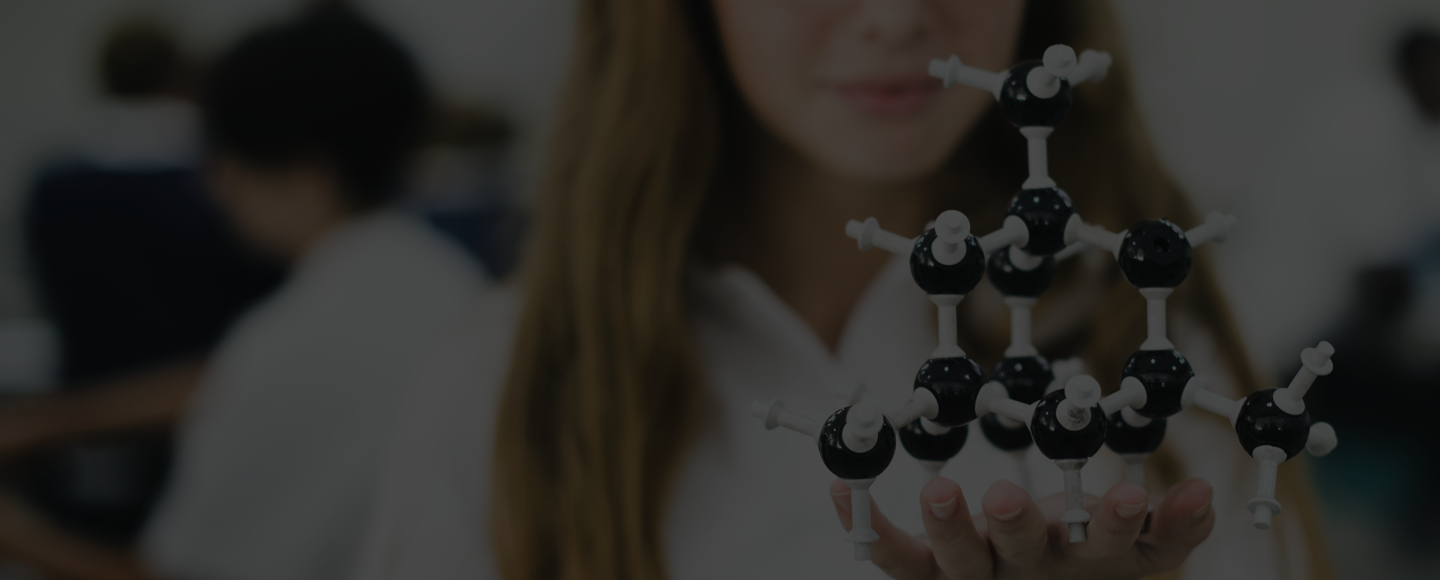 Private Tutoring Sydney | Prime Tuition